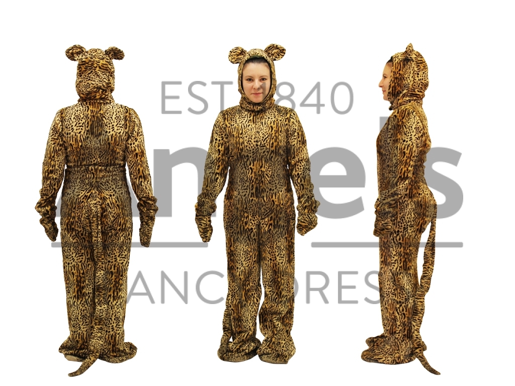 Angels Fancy Dress - Animals & Mascots Hire costumes